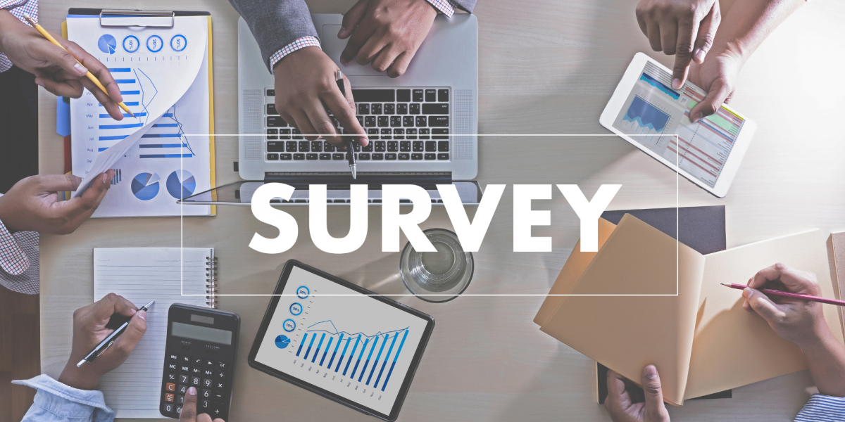 Unleash the Power of Surveys in Your Digital Marketing Strategy